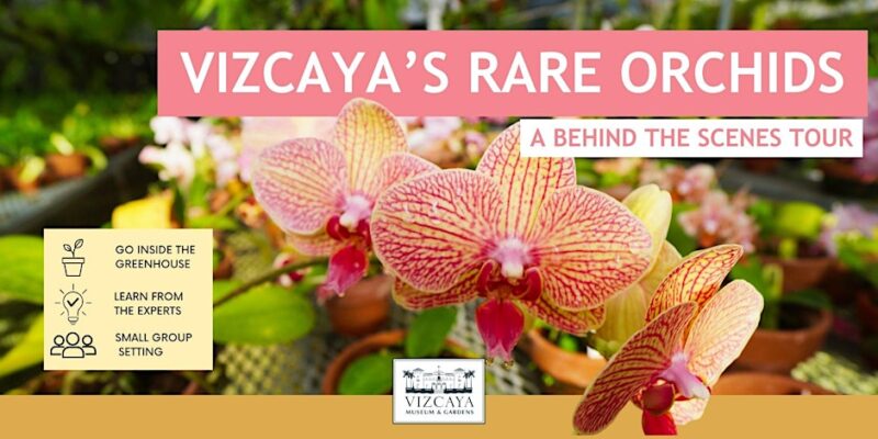 Deering Family Tree - Vizcaya